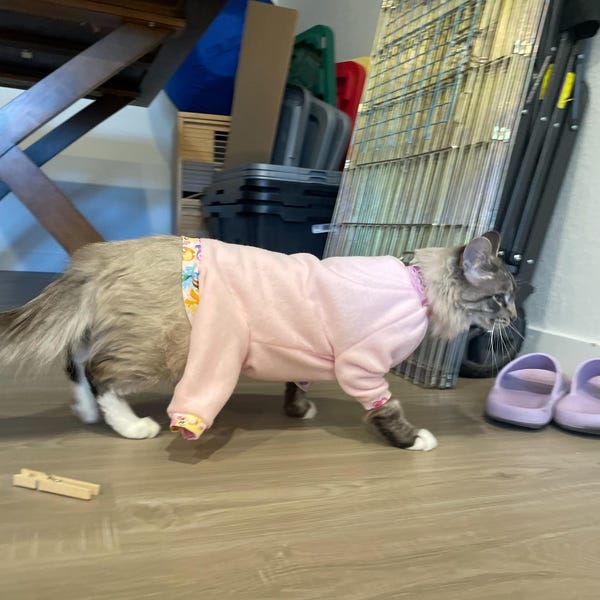 Sphynx Cat Bodysuit Sewing Pattern PDF – Cat Pajamas & Recovery Suit - Etsy