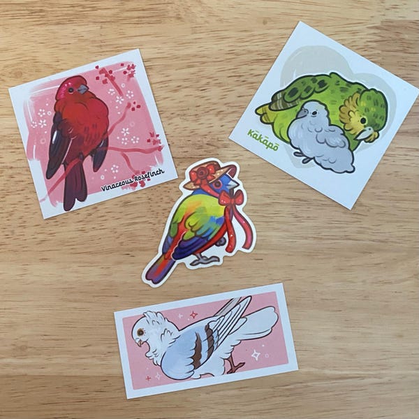 Chickadeez Nuts Sticker - Etsy