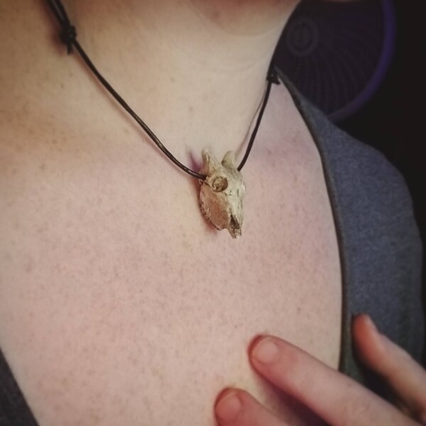 Raven Skull Replica Catalyst Studios Exclusive for Display Costume ...