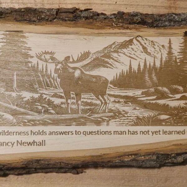 Buck and Doe SVG, Buck Clipart, Whitetail Svg, Hunting Svg, Deer ...