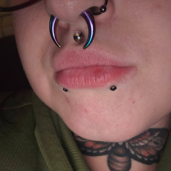 6 Steel Pinchers 0g 2g 4g 6g 8g 10g Horseshoes Talons Tapers Crescents ...