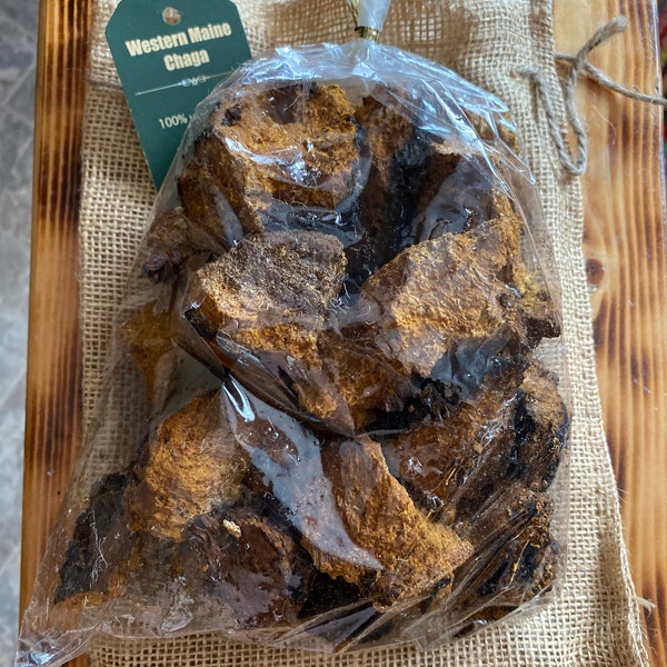 Chaga Mushroom Chunks 1lb - Wild-foraged Naturally Dried Maine Chaga ...