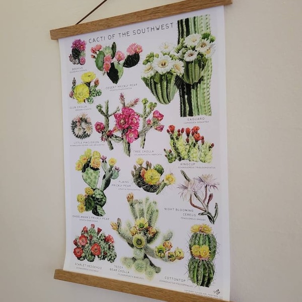 Desert Wildflower Poster | 13x19 Inch | Wall Art | Wildflower Botanical ...