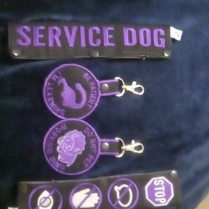 Leash Sleeve or Collar Wrap, Your Text Here, Customizable, Custom ...