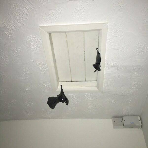 Hanging Bat With Folded Wings. Handcrafted Metal Bats, Outdoor Bat ...