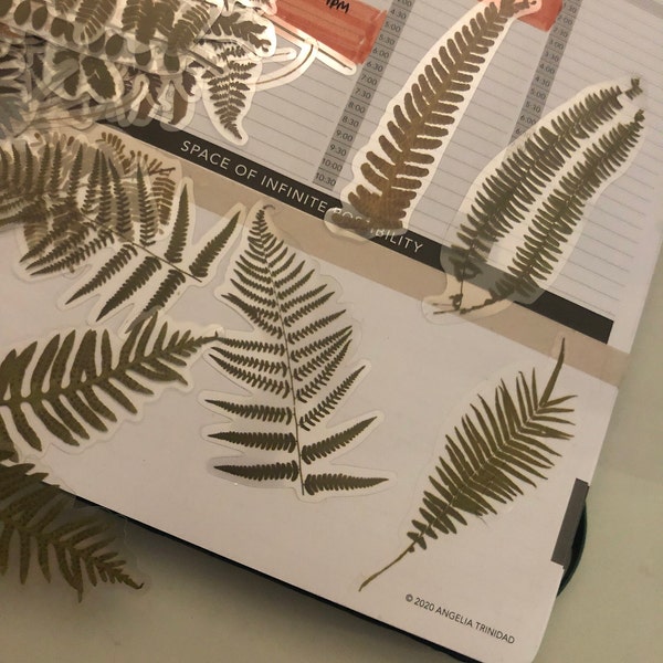 40 Pcs Feather Sticker, PET Sticker, Transparent Sticker, Botanical ...