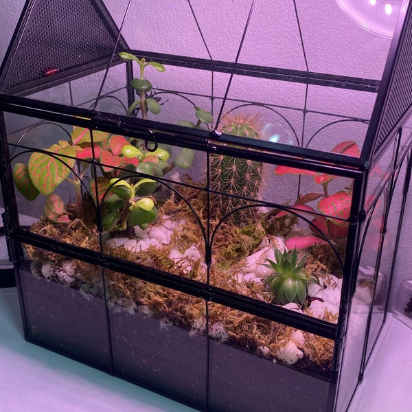 Handmade Geometric Terrarium, Large Octagon Glass Jump Spider Enclosure ...