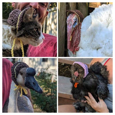 Crochet Pattern, Bonnet for Chickens, Sunday Bonnet, Little Red Hen Hat ...