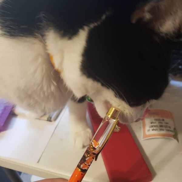 Serotonin Brain Float Pens / Dopamine / ADHD / Neurodivergent / Custom ...