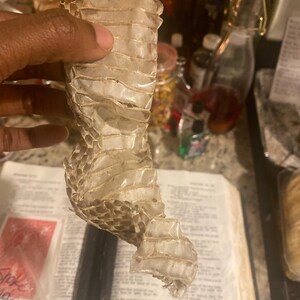 Baphomet Incense Holder With Bewitching Incense Sticks and - Etsy