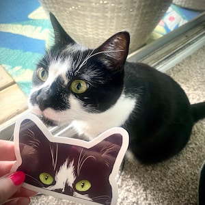Peeking Cat Sticker Black and White Cat Stickers Tuxedo Cat Good ...