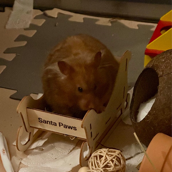 Flax Spray, Dried Flax Stems, Hamster Flax, Bird Flax, UK Farmer ...