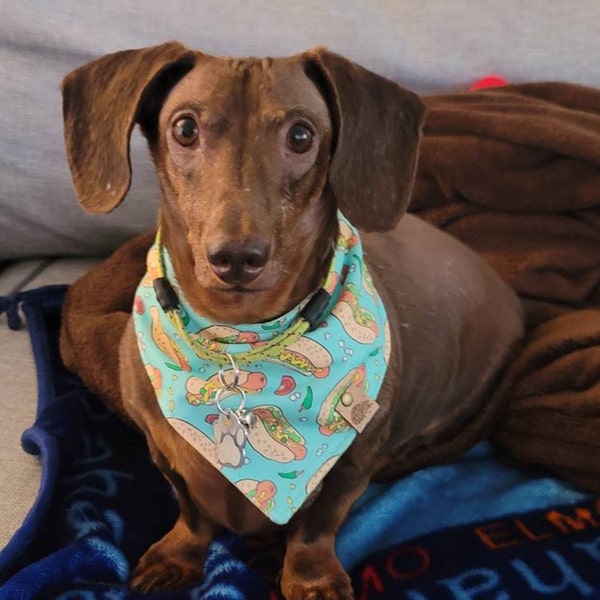 Halloween Dog Bandana Halloween Dog Gift Bat Dog Bandana Dog Scarf ...
