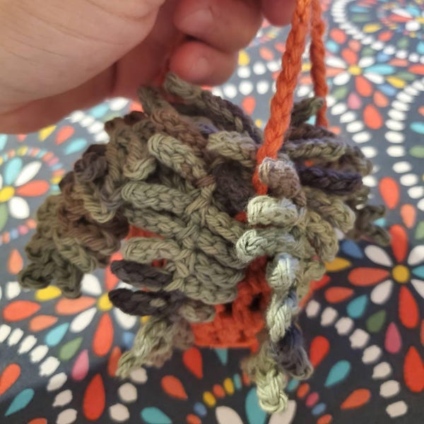 Car Fern Crochet PATTERN by Pamelambie Car Plant - Etsy