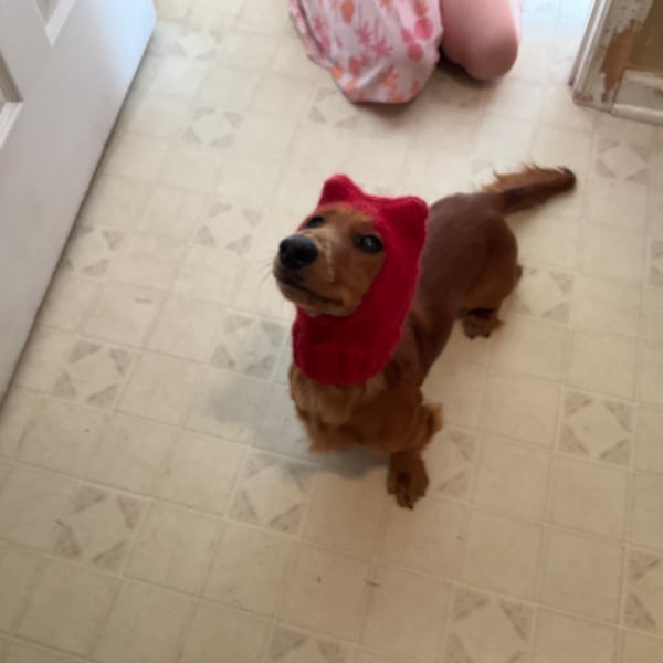 KNITTING PATTERN BUNDLE, Balaclava Hat, Matching Hats, Twin Hats ...