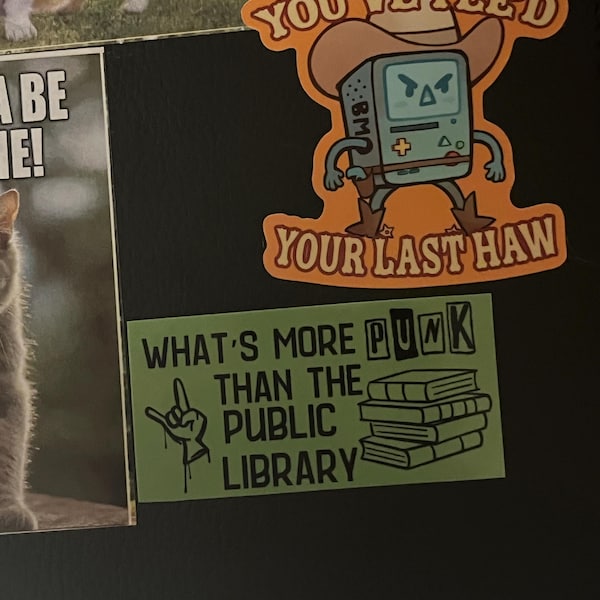 What’s More Punk Than the Public Library Vinyl Sticker - Etsy