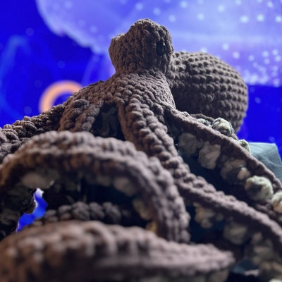 BUNDLE Anchor the Octopus Pattern Crochet Pattern digital - Etsy