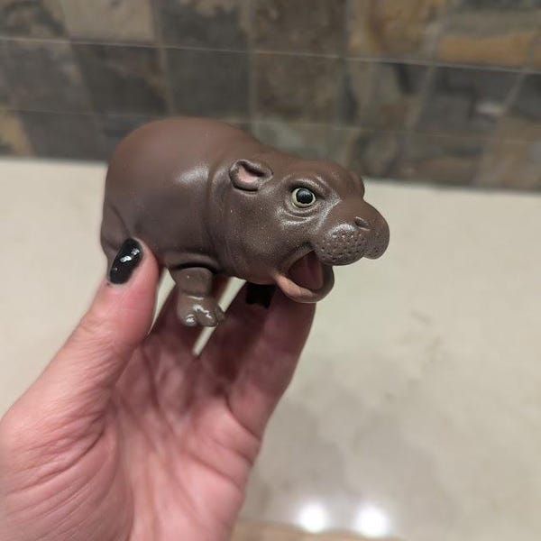 Moo Deng, Angry Baby Hippo - Etsy