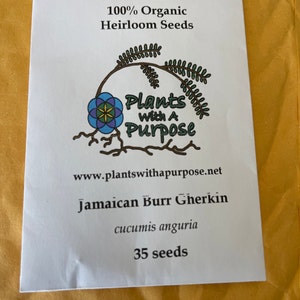 Medicinal Seeds, Krishna Tulsi, Holy Basil, Ocimum Sanctum, 30 Seeds ...