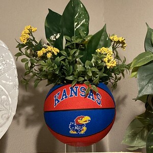 Tennis Ball Planter / Tennis / Indoor Planter / Sports Planter / Tennis ...