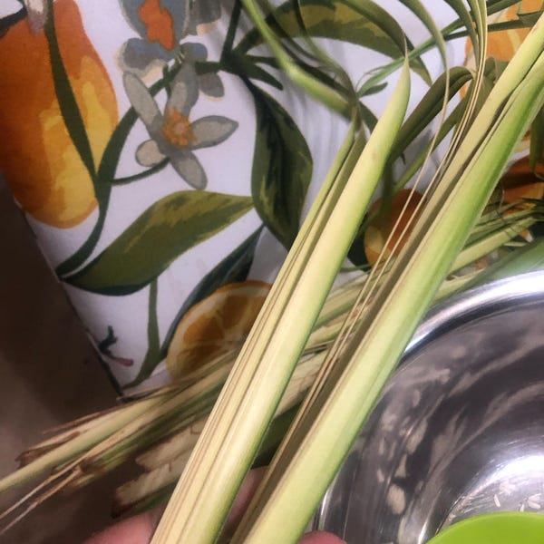 Fresh Green Jamun Leaves -organic Leaves Picked 10 Min Before Shipment ...