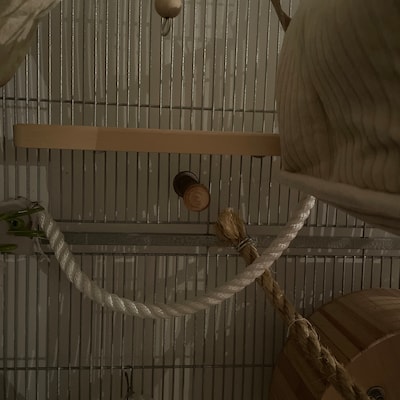 Various Sizes Natural Wood Perch Ledge Platform Shelf Walkway - Etsy