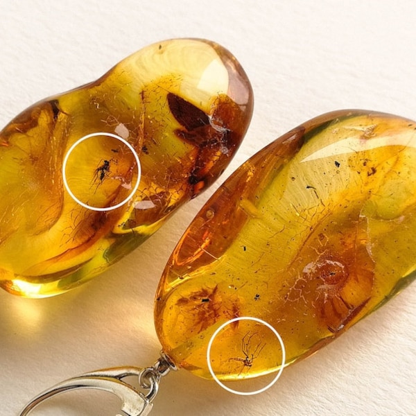 Amber Pendant With Mosquito, Unique Light Yellow Amber Pendant Gift ...