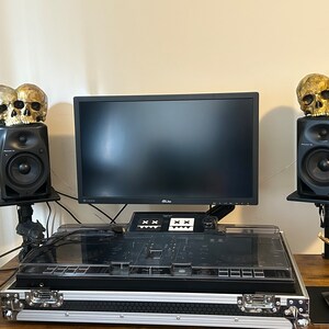 Conjoined Twins Human Skull FREE SHIPPING - Etsy