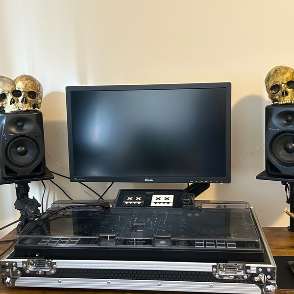 Conjoined Twins Human Skull **FREE SHIPPING* - Etsy