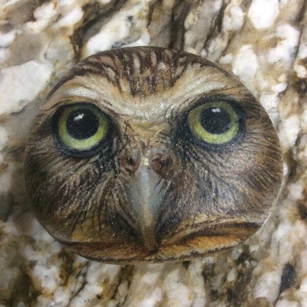 Lion Stone | Animal Rock Art | Paperweight - Etsy