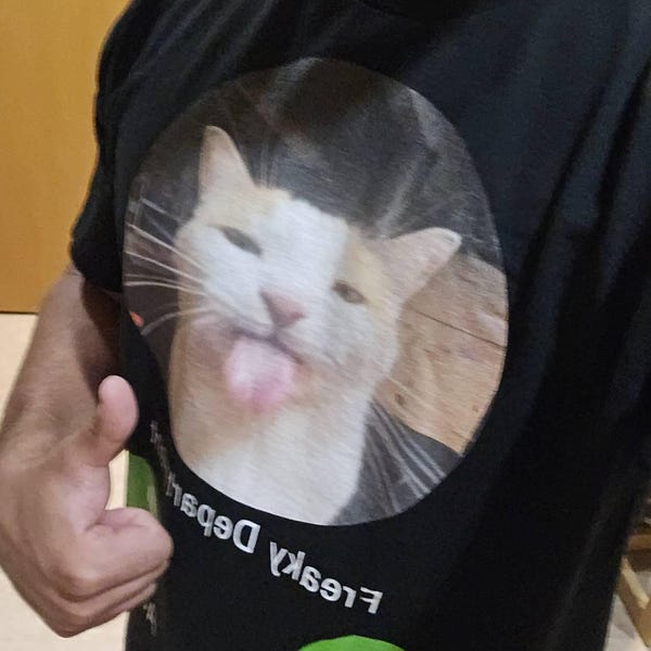 Fih Funny Meme T-shirt, Fish Shirt, Unhinged Clothes, Ironic Tees ...