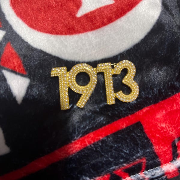 Delta Sigma Theta Umbrella - Inverted - Etsy