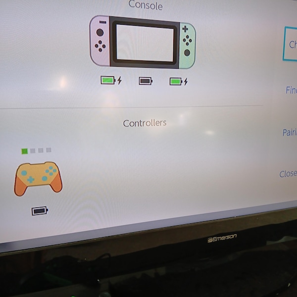 Custom Birdo Themed Nintendo Switch Pro Controller - Etsy