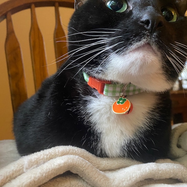 Clementine Cat Collar, Green Gingham Cat Collar With Clementine Charm ...