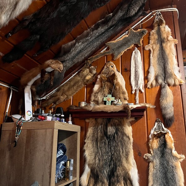 BOBCAT ULTRA SPOTTED Pelt Fresh Tanned Thick Heavy Pelt Fur Hide Log ...