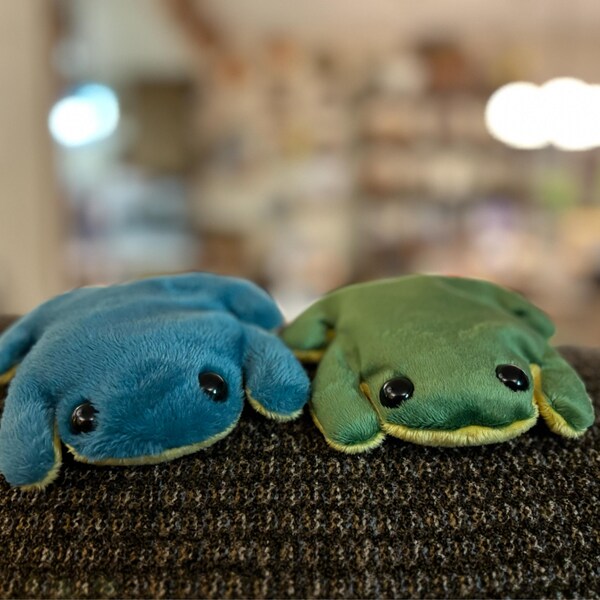 Choose Your Color Combo Frog Plush// Pocket Frog Plushie// Bean Bag ...