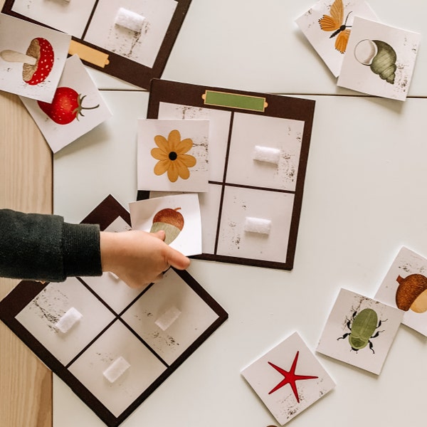 Preschool Nature Color Match Activity | Charlotte Mason Homeschool ...