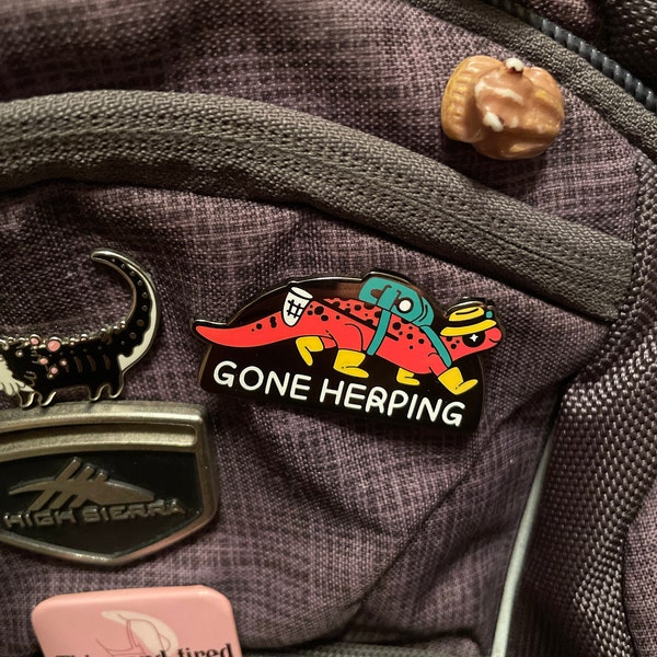 Gone Herping Enamel Pin Badge / Large Salamander Jewellery / Amphibian ...