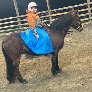 Mini Donkey Fly Mask - Etsy