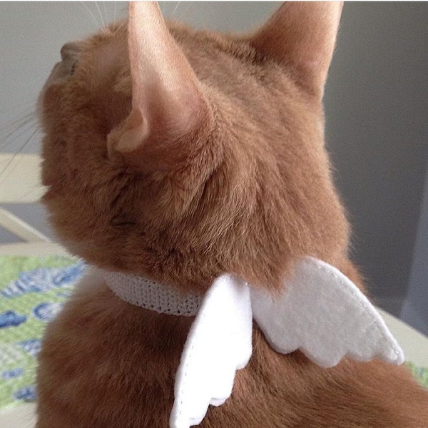 Angel Cat Collar/ Angel Wing Cat Costume-''white+color Option''-wedding ...