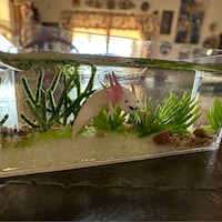 Miniature Super Mario Axolotl Tank - Etsy UK