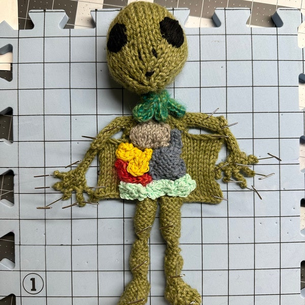 Knitted Dissected Bat Specimen - Etsy