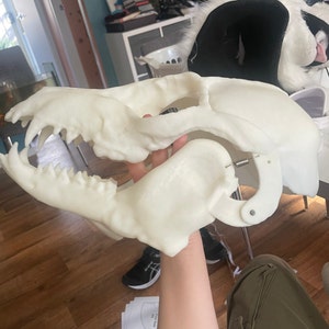 Anteater Fursuit Head-base With Movable Jaw and Eye Lids High Quality ...