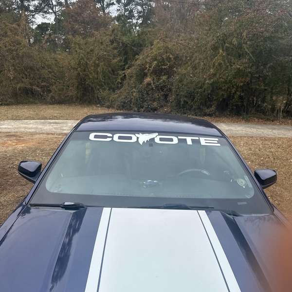 Angry Hornet Taillight Divider Blackout Decal Kit Fits Dodge Challenger ...