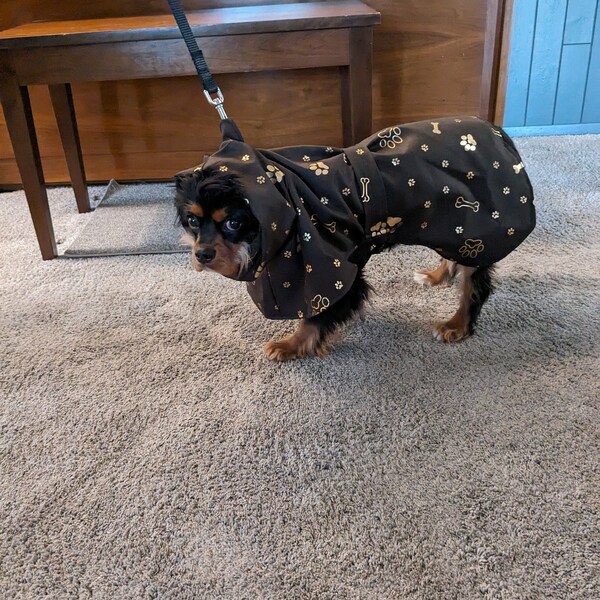 Waterproof Thick Dog Snood , Swimming Cap for Dog , Dog Hat for Snow - Etsy