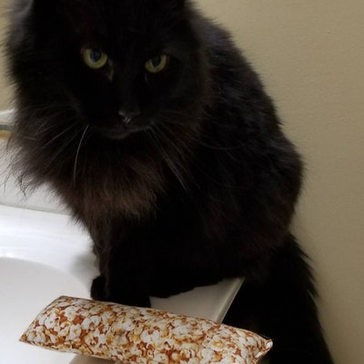Popcorn Kicker Cat Toy, Catnip Toy, Carnival Popcorn, Movie Theatre ...