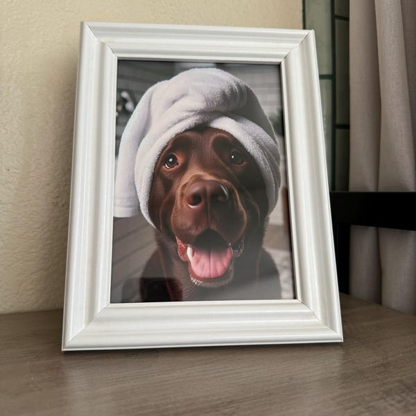 Black Lab With Towel on Head in Bathroom Towel Poster Print Black ...