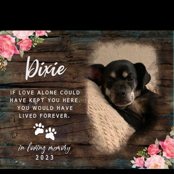 Loss of Dog Memorial Passing Gift Pet Loss Frame Portrait Photo Canvas ...