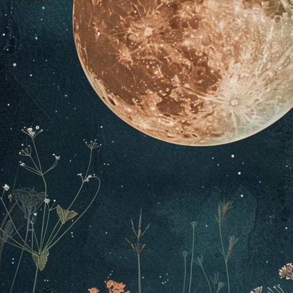 Moon Phone Wallpaper | Full Moon Lock Screen | Crystal Floral ...