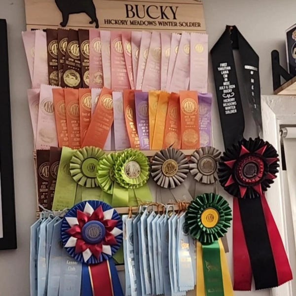 Personalized Dog Show Ribbon Holder: Engraved Wall Hanging Display - Etsy
